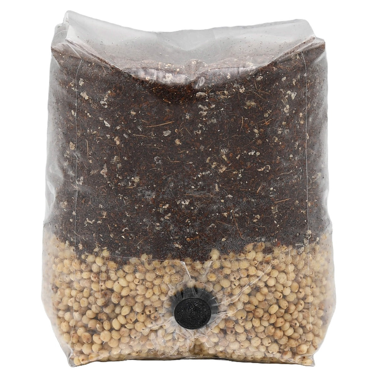 Mini White Milo All-In-One Mushroom Grow Bag – Out Grow