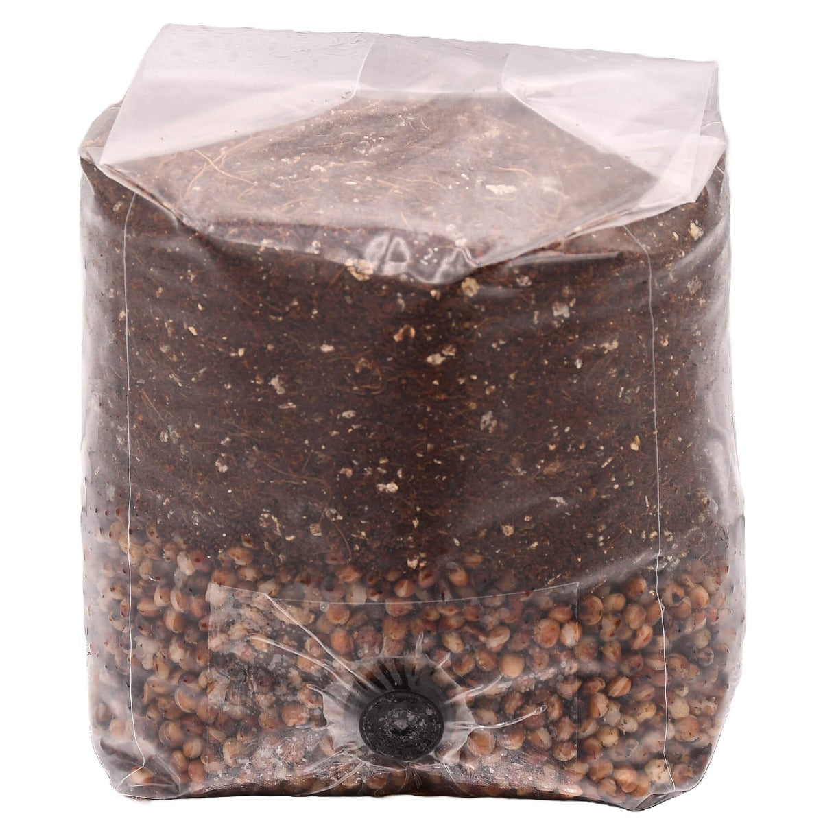 Mini Red Milo All-In-One Mushroom Grow Bag - Out Grow
