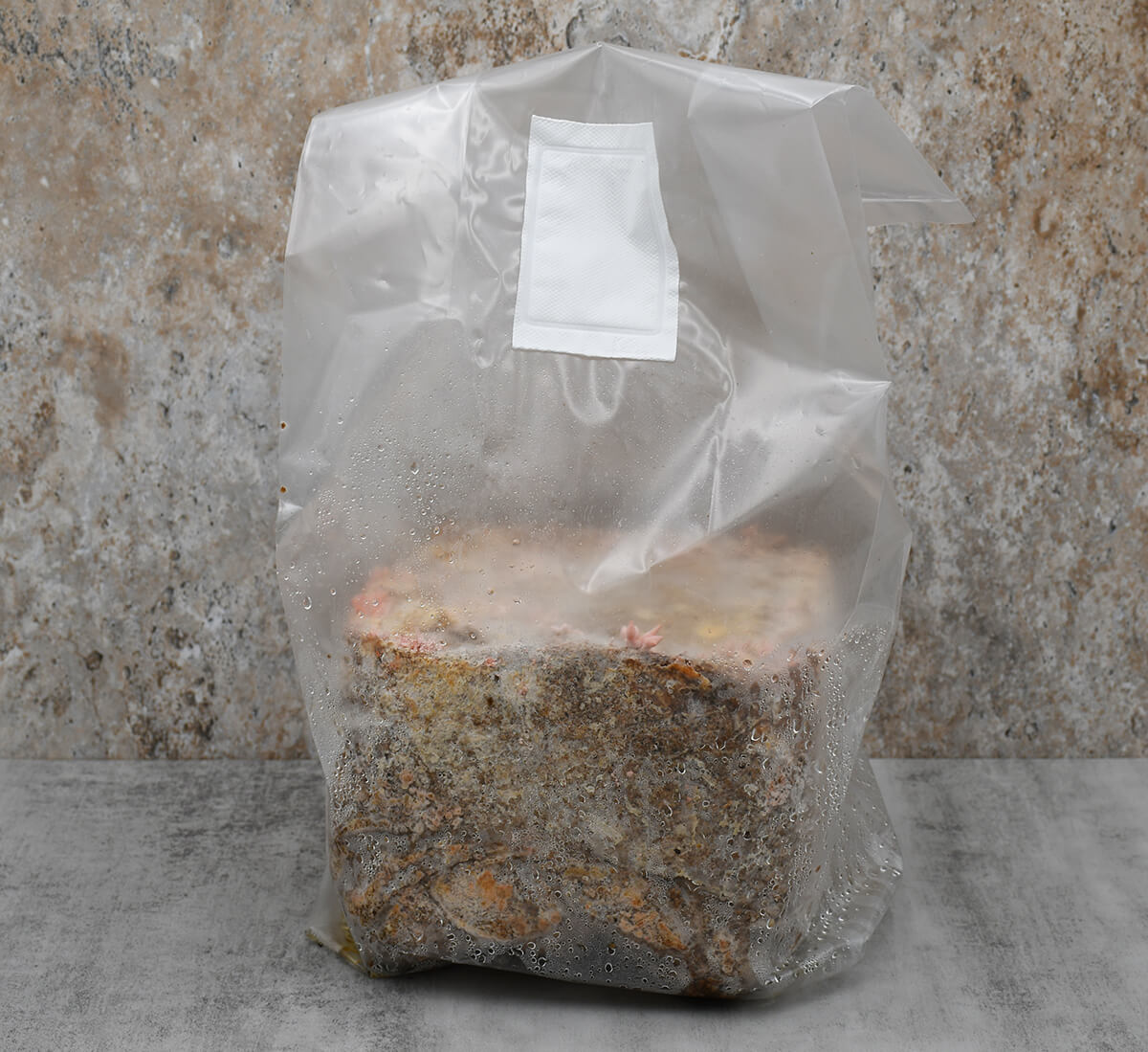 Mushroom Fruiting Blocks: Essential Guide for Cultivators – Out Grow