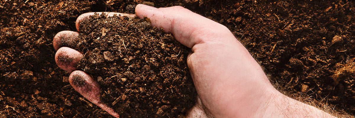 The Best Mushroom Substrates Online | Sterilized & Ready to Use – Out Grow