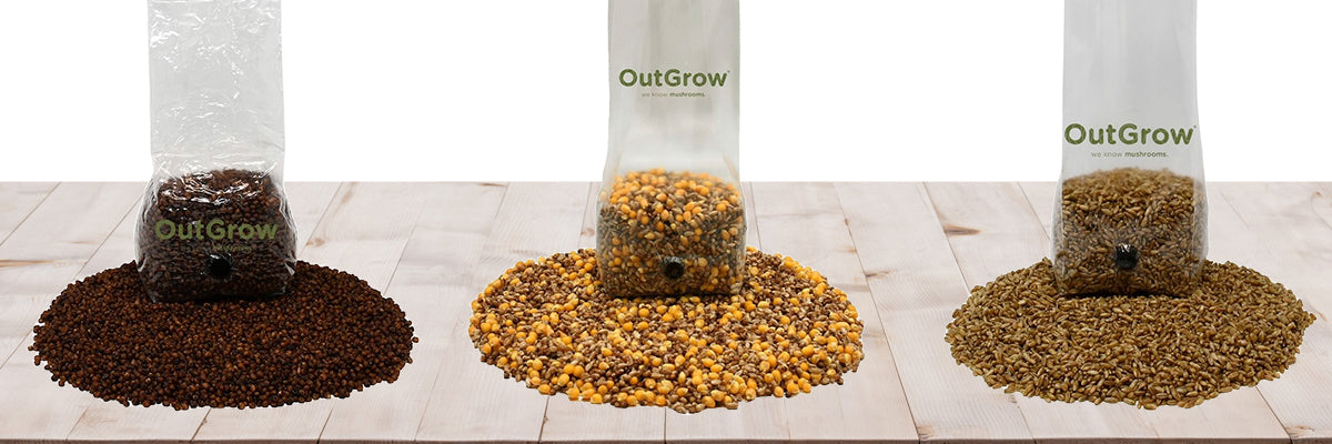 Grain Spawn Bags with Filter Patch and Injection Port – Out Grow