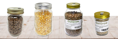 How to Use an Inoculation Loop in Mycology – Out Grow