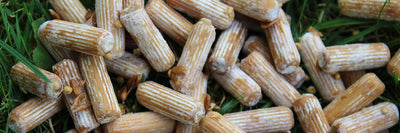 How to Grow Shiitake Mushrooms on Logs With Plug Spawn – Out Grow