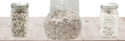 How To Grow Mushrooms at Home: A Complete Beginner's Guide – Out Grow