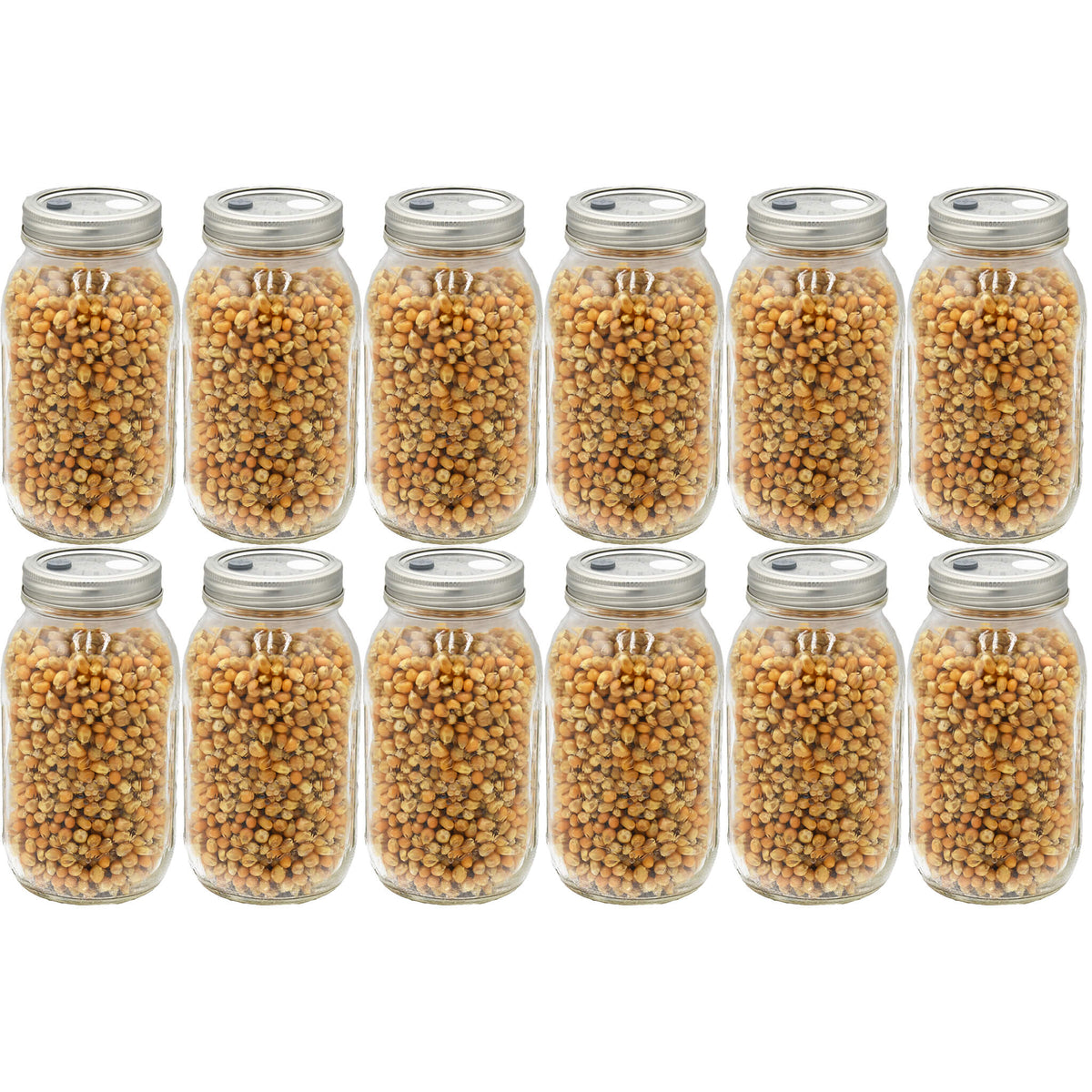 Popcorn Bulk Substrate Jars – 12-Pack – Out Grow