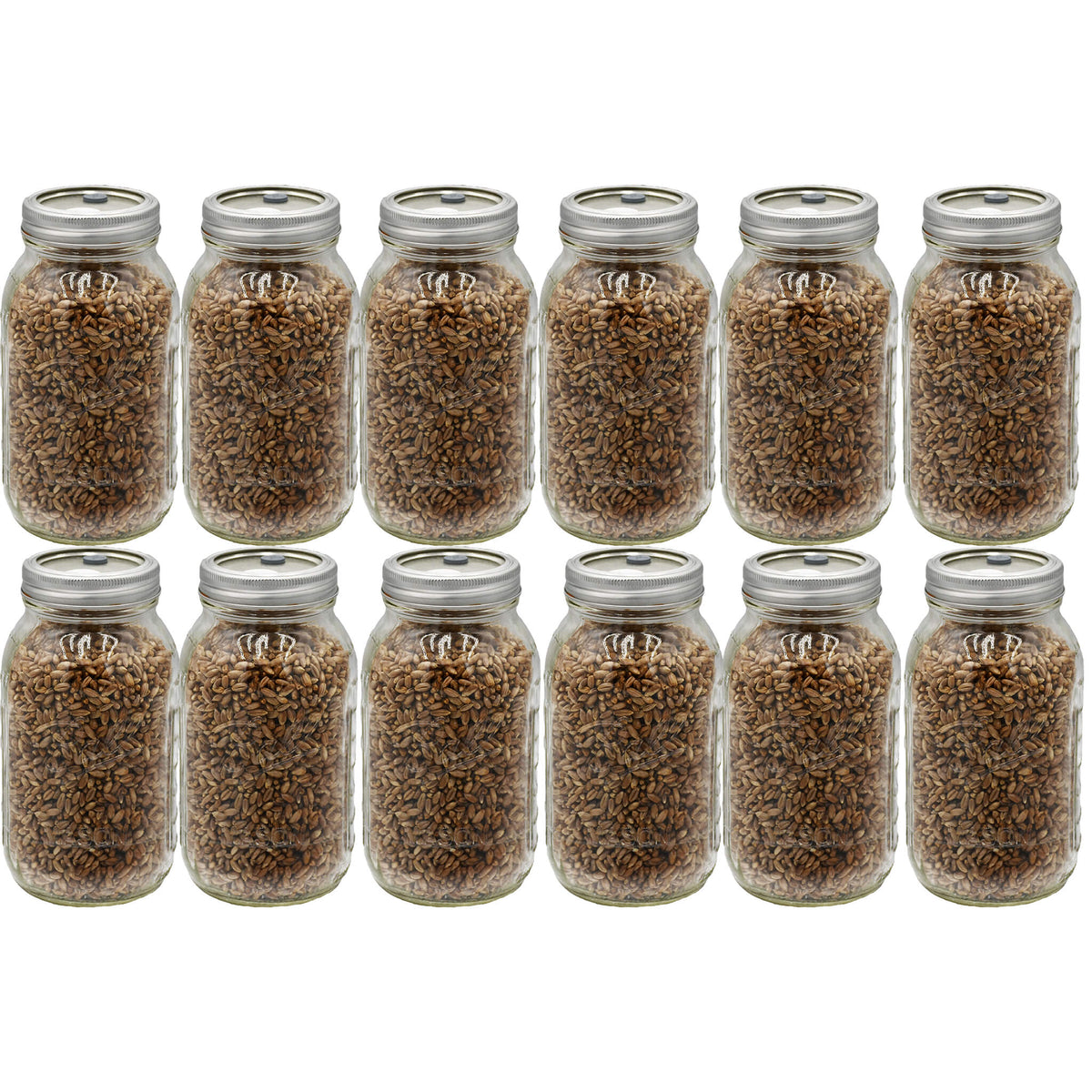Rye Berry Bulk Substrate Jars – 12-Pack – Out Grow