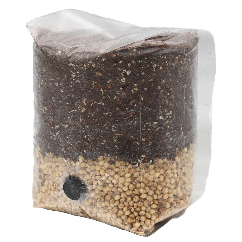 Mini White Milo All-In-One Grow Bag - Out Grow