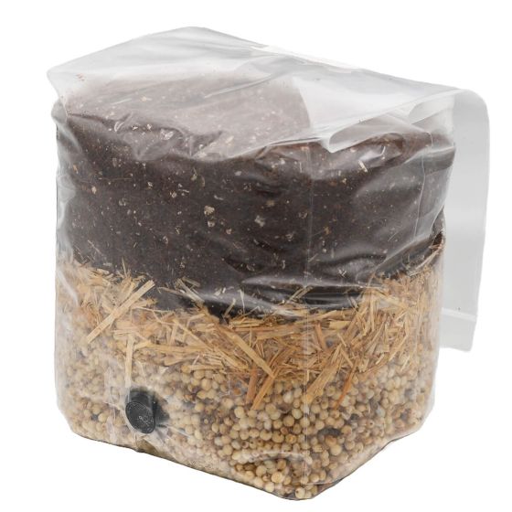 White Milo All-In-One Mushroom Grow Bag – Out Grow