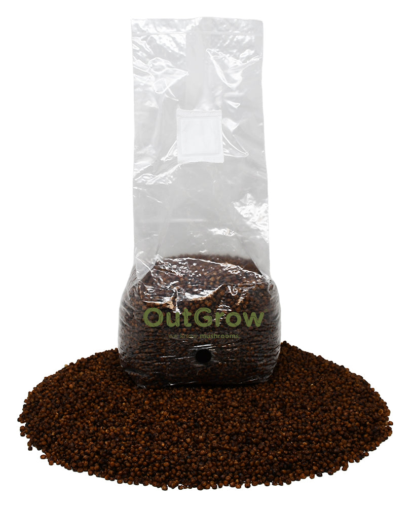 Sterilized Red Milo Grain Spawn Bag – 3lb | The Best Grain Spawn – Out Grow