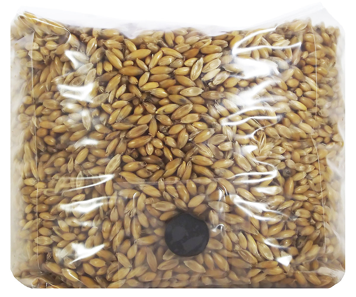 Sterilized Oat Grain Spawn Bag – 3lb | Professional Mushroom Substrate ...