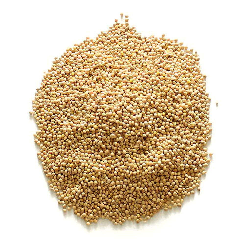 White Millet for Mushroom Cultivation: Out Grow